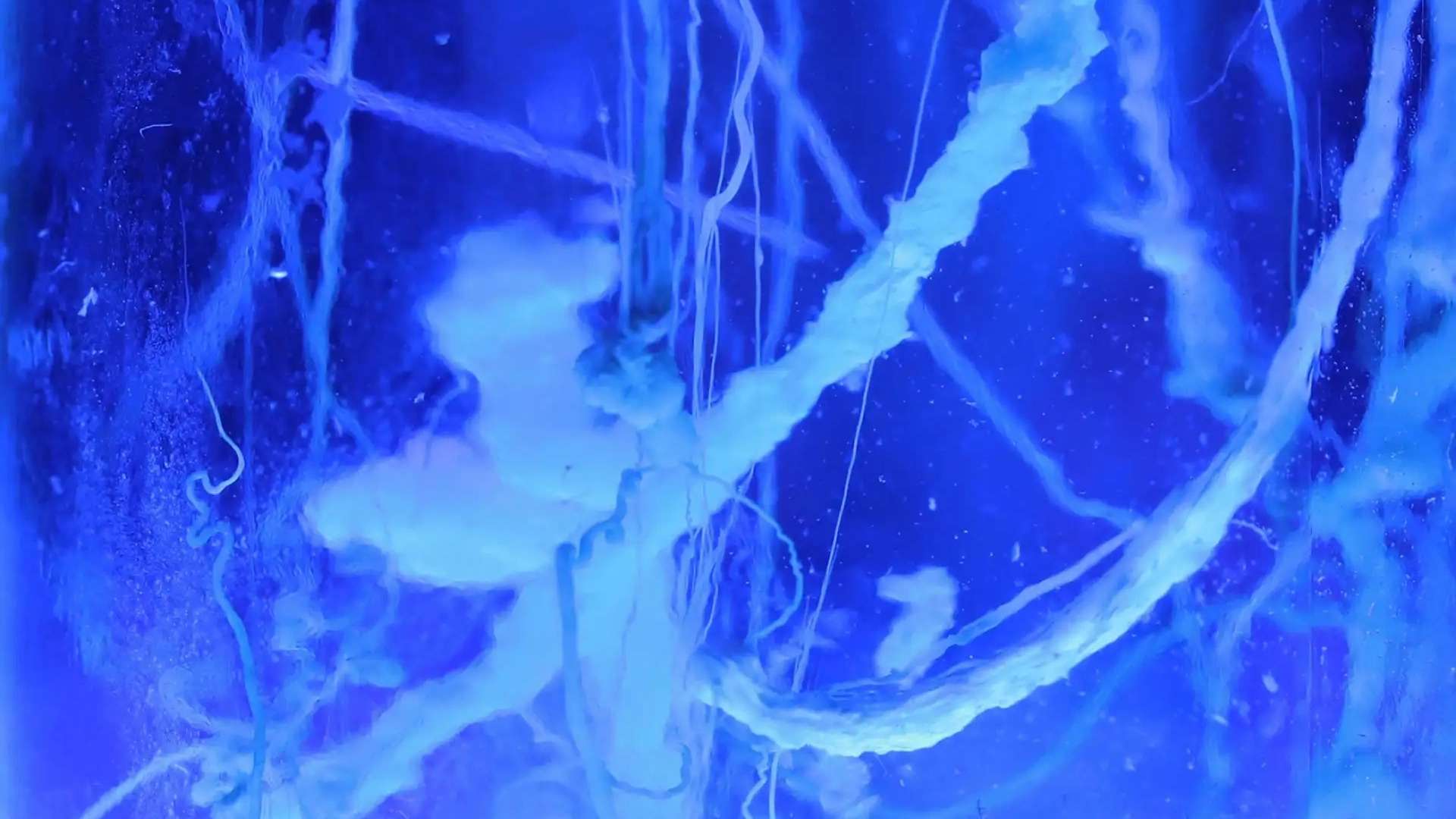 Sophie Keraudren-Hartenberger & Yann Pellegrin | Stereolux